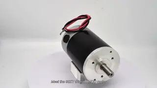 90ZY 90mm PMDC Motor Power