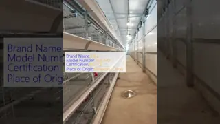 Custom Layer Cages Automatic Egg Collection