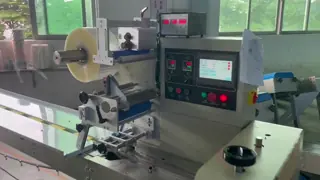 Horizontal Packaging Machine