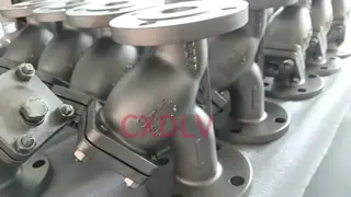 DN40 Stainless Steel Y-Strainer ANSI150LB RF Connection