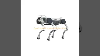 X30 Quadruped Robot for Industry