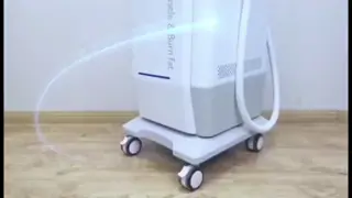 Vertical 2 Handle EMS machine