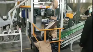Automatic Packing Machine and Palletizing Robot Line for Feed Industry