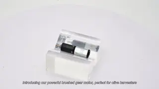 12mm metal planetary gear motor.