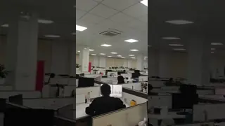 Every International Shipment Is Managed by Professional Teams