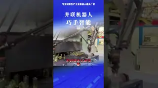 Palletizing Robot