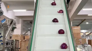 High-Speed Automatic Mesh Bag Packaging System (0.5kg - 5kg)