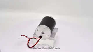 45ZY PMDC Motor