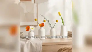 Minimalist Cream White Ceramic Vase Collection