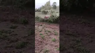 Professional Orchard Grass Cutting Branch Shredder Heavy Duty Wood Crushing Machine