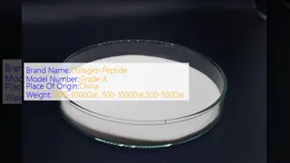 Collagen Peptide 24 Month Shelf Life Powder