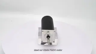 42MM PMDC Motor Long Life & Versatile