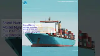 Reefer Shipping China USA Europe DDP