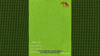 300GSM Rib Fabric High Stretch Cuff Hem