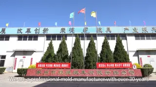 We are a professional mold manufacturer with over 30 years of experience in the mold manufacturing i