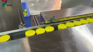 Blue Bubble Packaging Machine