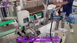 2253 M28 UK Online Conveyor-Type Self-Adhesive Single-Sided Labeling Machine