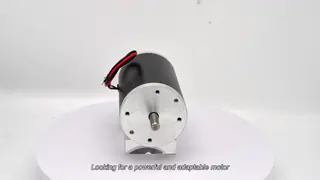 76mm PMDC Motor