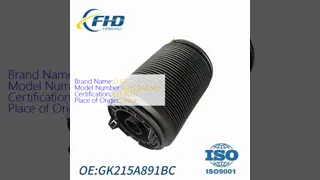 Tourneo Rear Air Spring Bag Replacement