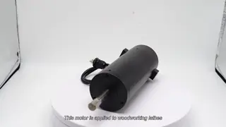 80ZY PMDC motor
