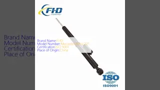 221 S Class Rear Air Shock Strut Replacement