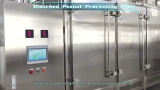 roasted peanut blanched machine
