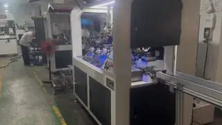 Irregular Product Screen Printer Automatic