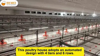 Poultry House in the Philippines