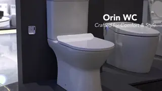 One Piece Toilet
