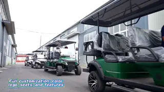 Zero Carbon, Infinite Drive