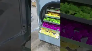 Home Freeze Dryer Preserve Food be Good