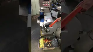 288 Industrial Vegetable Cutter