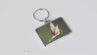 Custom Pet Tags Sublimation Blanks