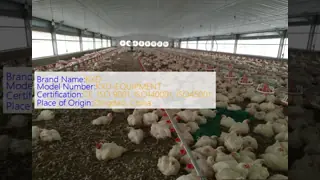 Poultry Farm Automation: Feed & Water Systems