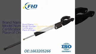Mercedes ML W166 Front Left Air Shock Strut