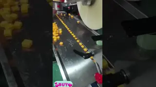 Automatic Candy Sorting Packing Machine