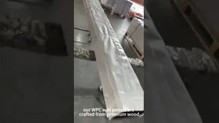 Modern outdoor WPC panels
