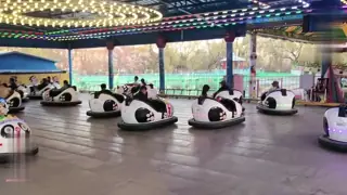 Bumper Car