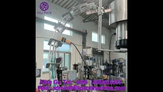 2218 J118 Automatic Single-Head Capping Machine for Aluminum Caps