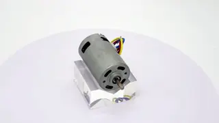 12V B4267M brushless dc motor Used in olive harvesters