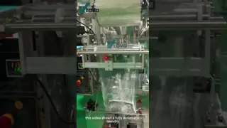 Fully Automatic Washing Powder Packaging Line