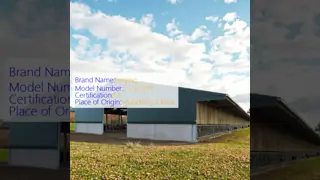 Steel Cow Shed Construction Wind Resistant Farm Building