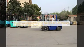 . Ton Diesel Forklift .m Mast