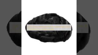 Natural Light Brown Wavy Hair System 6x8