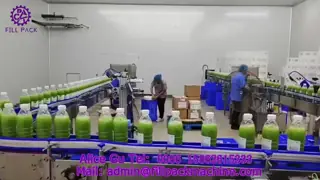 2235 P15 Dual-Head Gripper Automatic Case Packing Machine