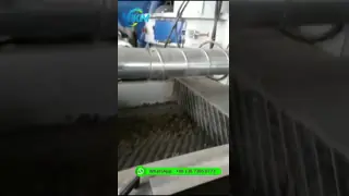 Biomass Wood Pellet Machine | Ring Die Pellet Mill for Sawdust Pellet Production line