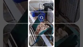 Customized Capacity Cassava Starch Equipment