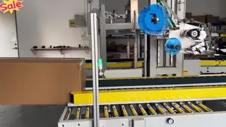 Adaptive Carton Labeling Machine