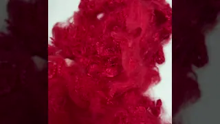 2.78D×38MM Solid Red Polyester Staple Fiber, High Elastic Color Uniform Fiber for Textile Factory