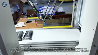 Conveyor Dynamic Pick Station Parallel Robot Auto Recognize Product Direction Precise Positioning St